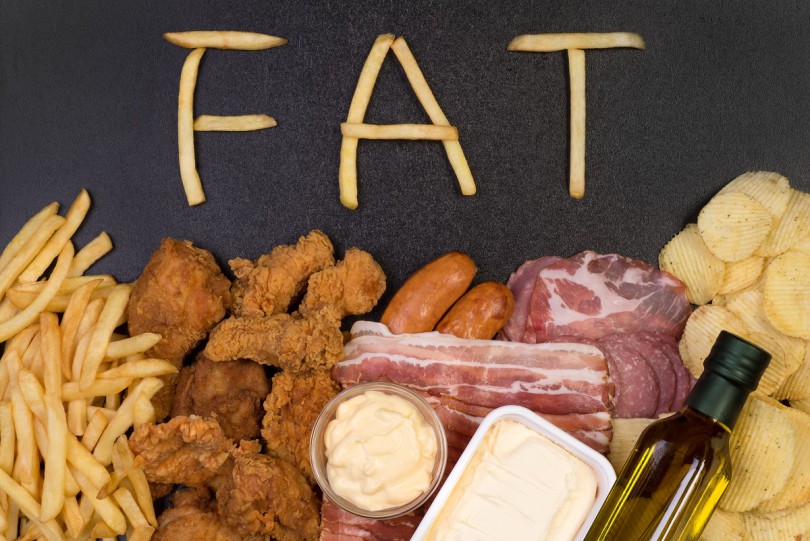 Fette - die ultimativen Energielieferanten | sixpack.at